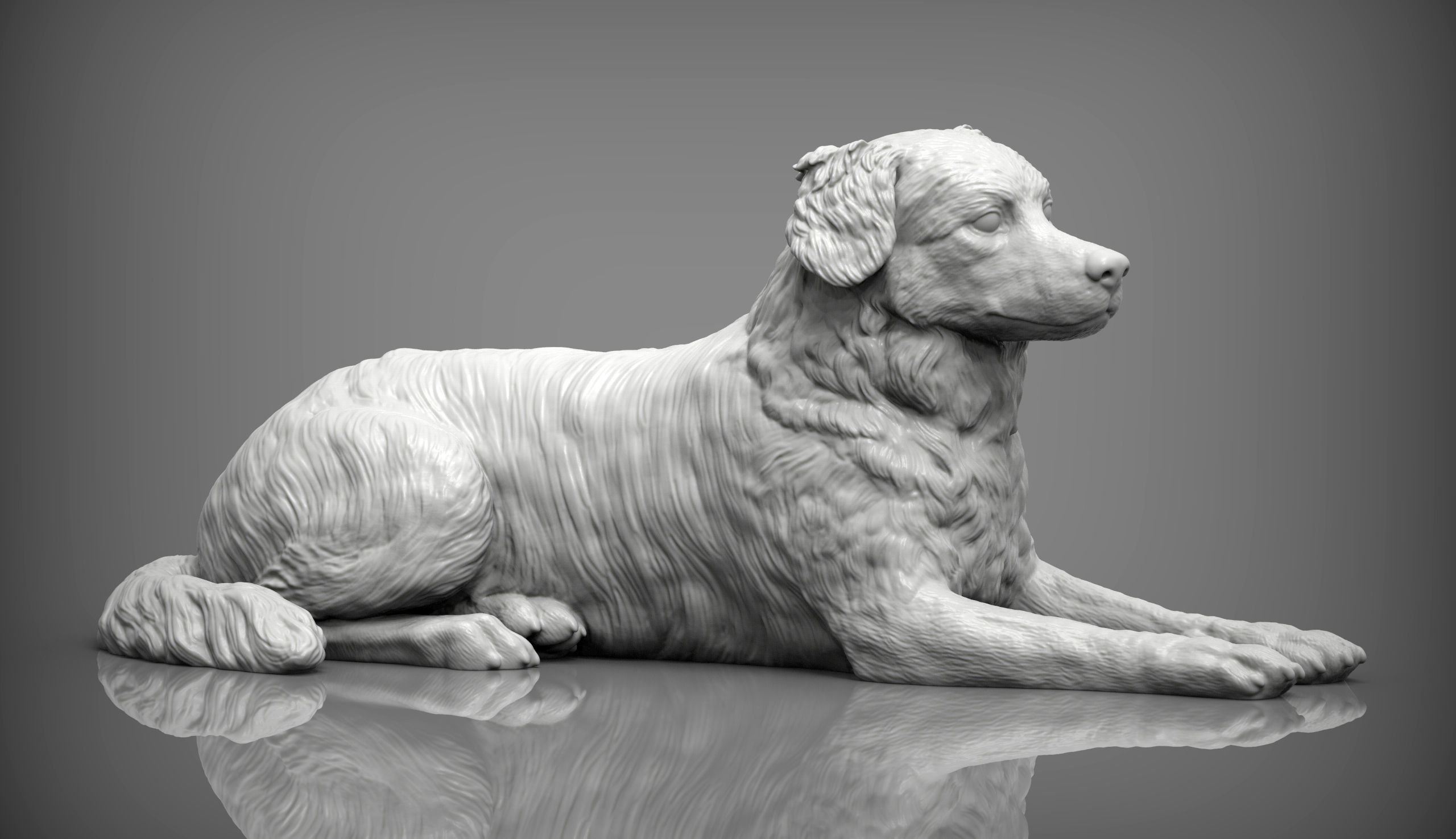 Australian shepherd 3D model 3D printable | CGTrader