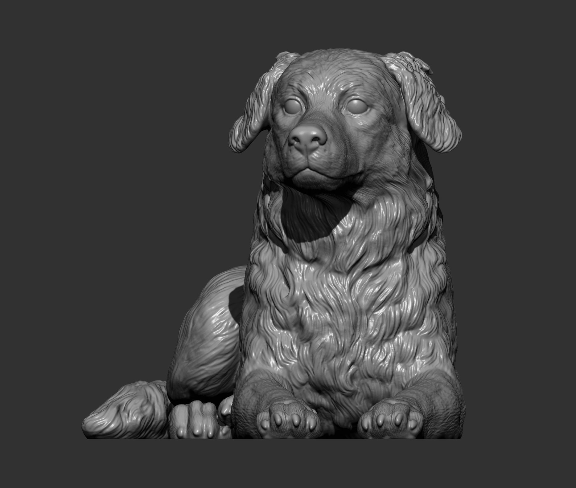 Australian shepherd 3D model 3D printable | CGTrader