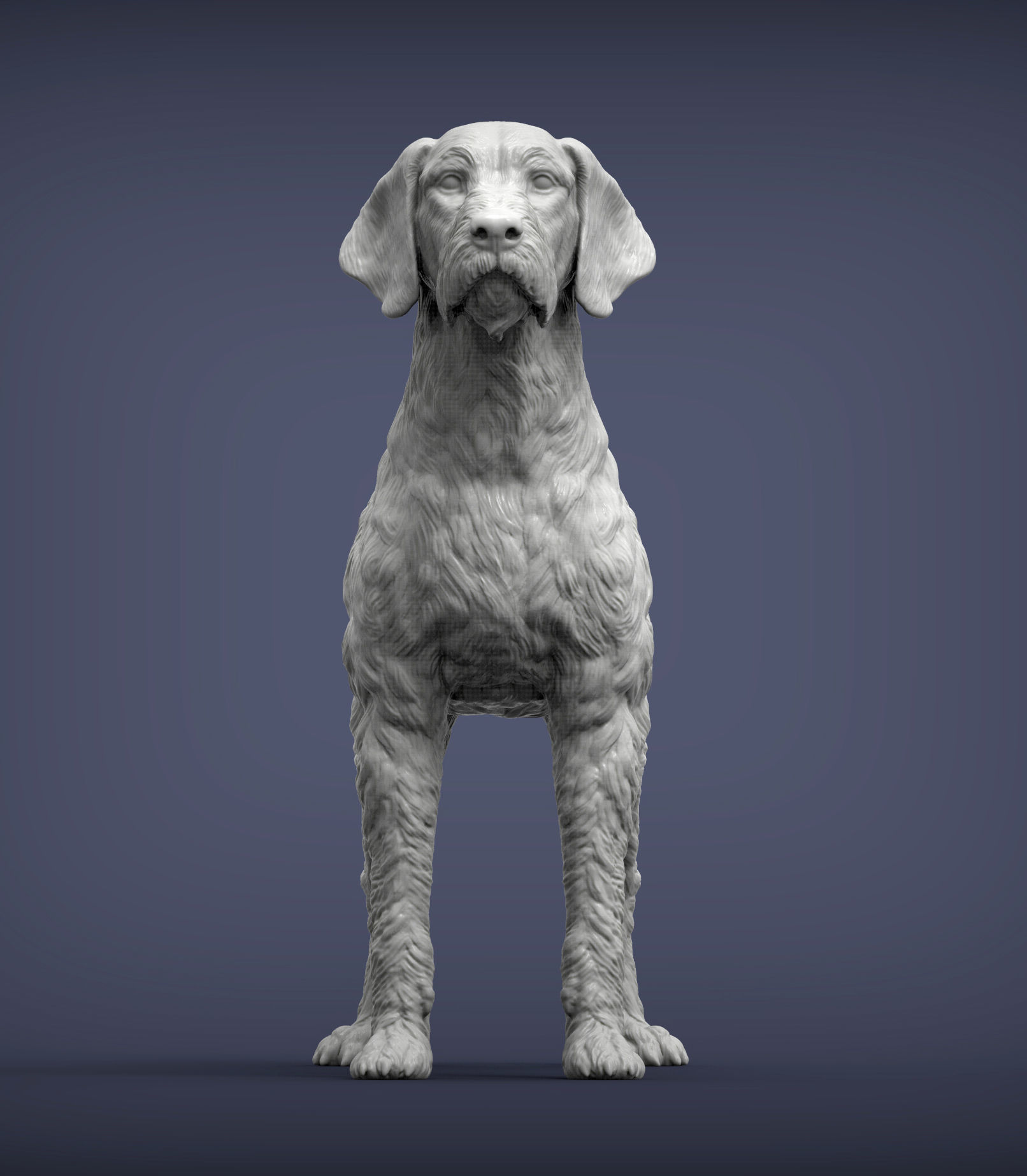 German wirehaired pointers 3D model 3D printable | CGTrader