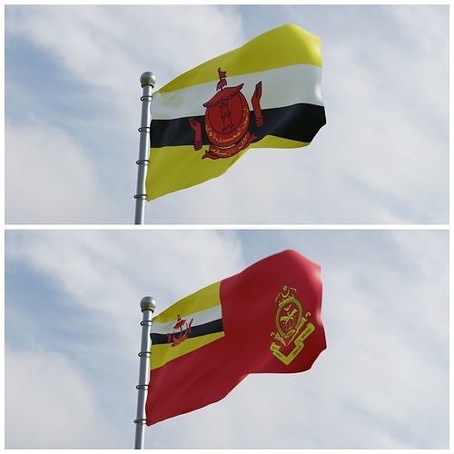 Animated Brunei Flags 3D model animated | CGTrader