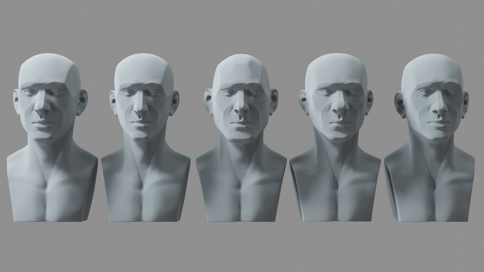 Stylized Head Ecorche 3D model | CGTrader