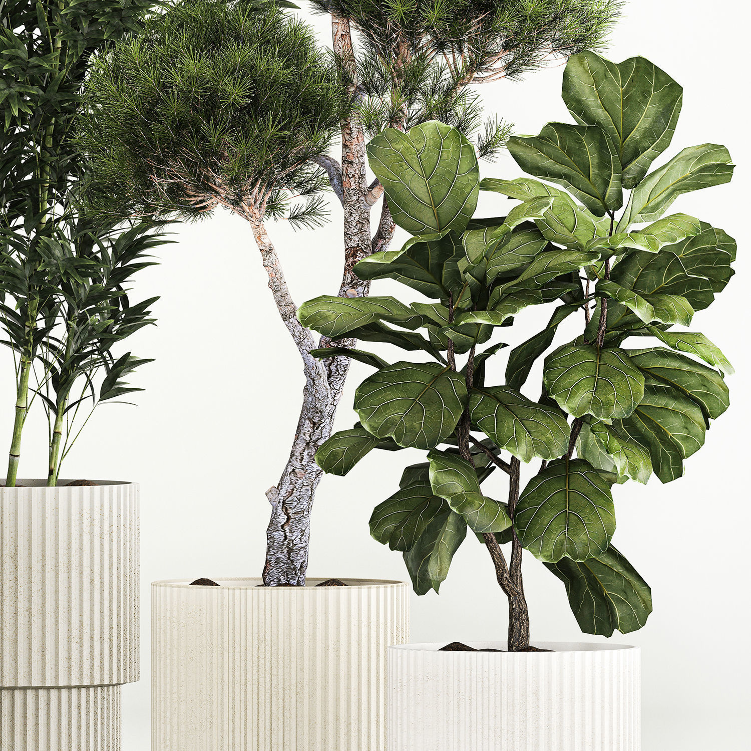 plants for the street and interior in concrete pots 1211 3D model ...