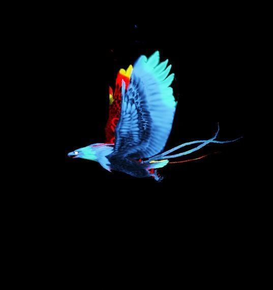 Flying anka bird 3D model animated rigged | CGTrader