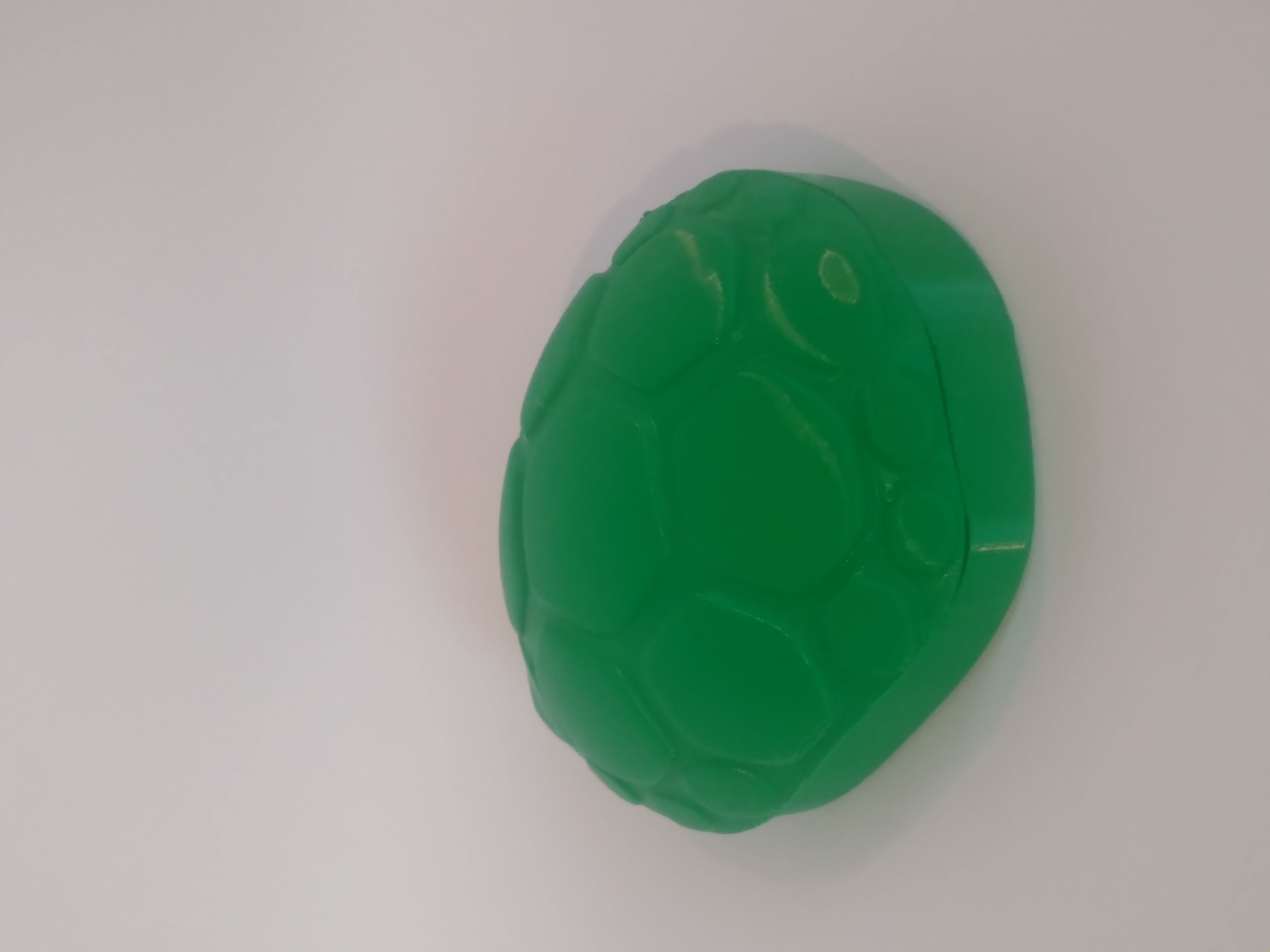 Turtle shell case 3D model 3D printable | CGTrader