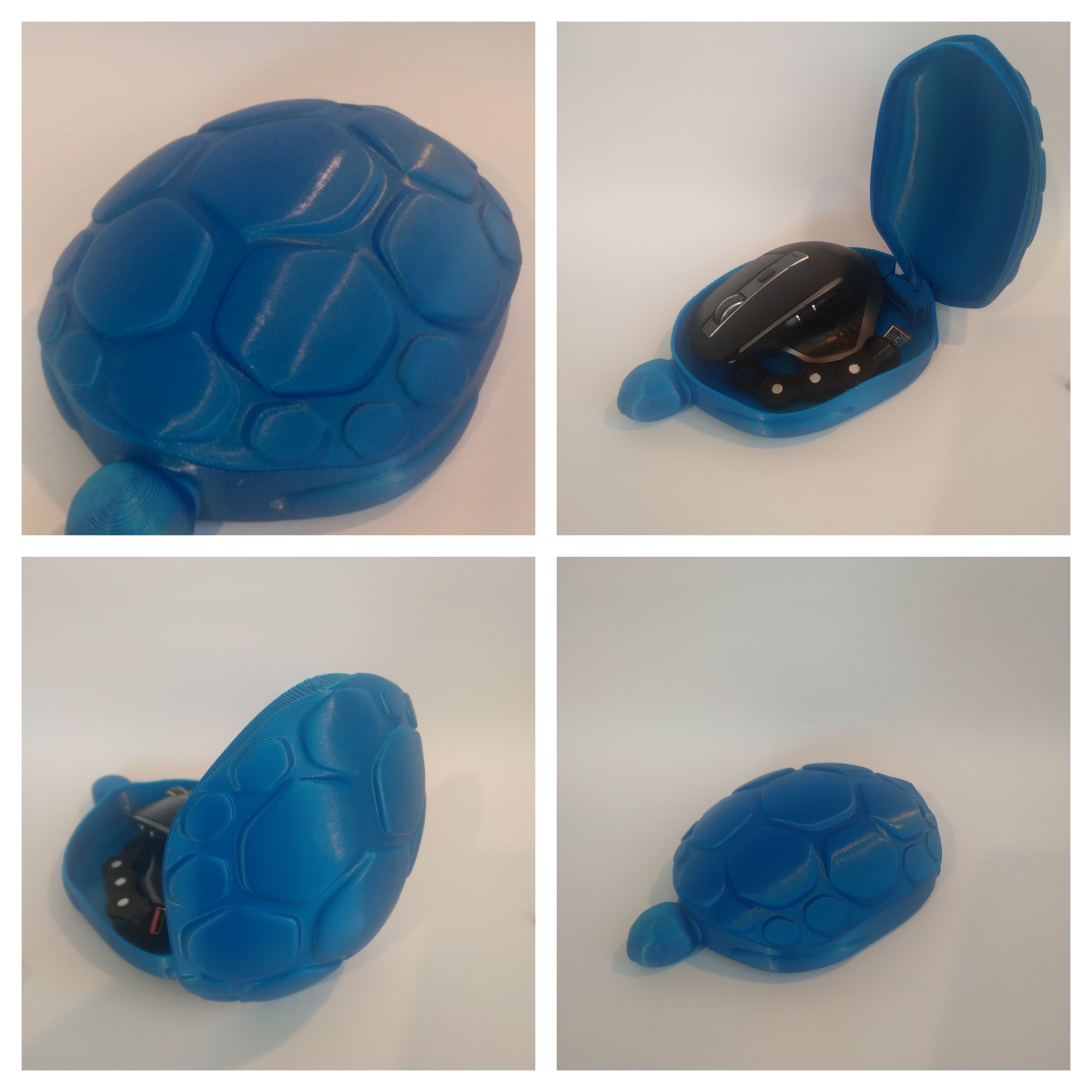 Turtle case with hinges 3D model 3D printable | CGTrader