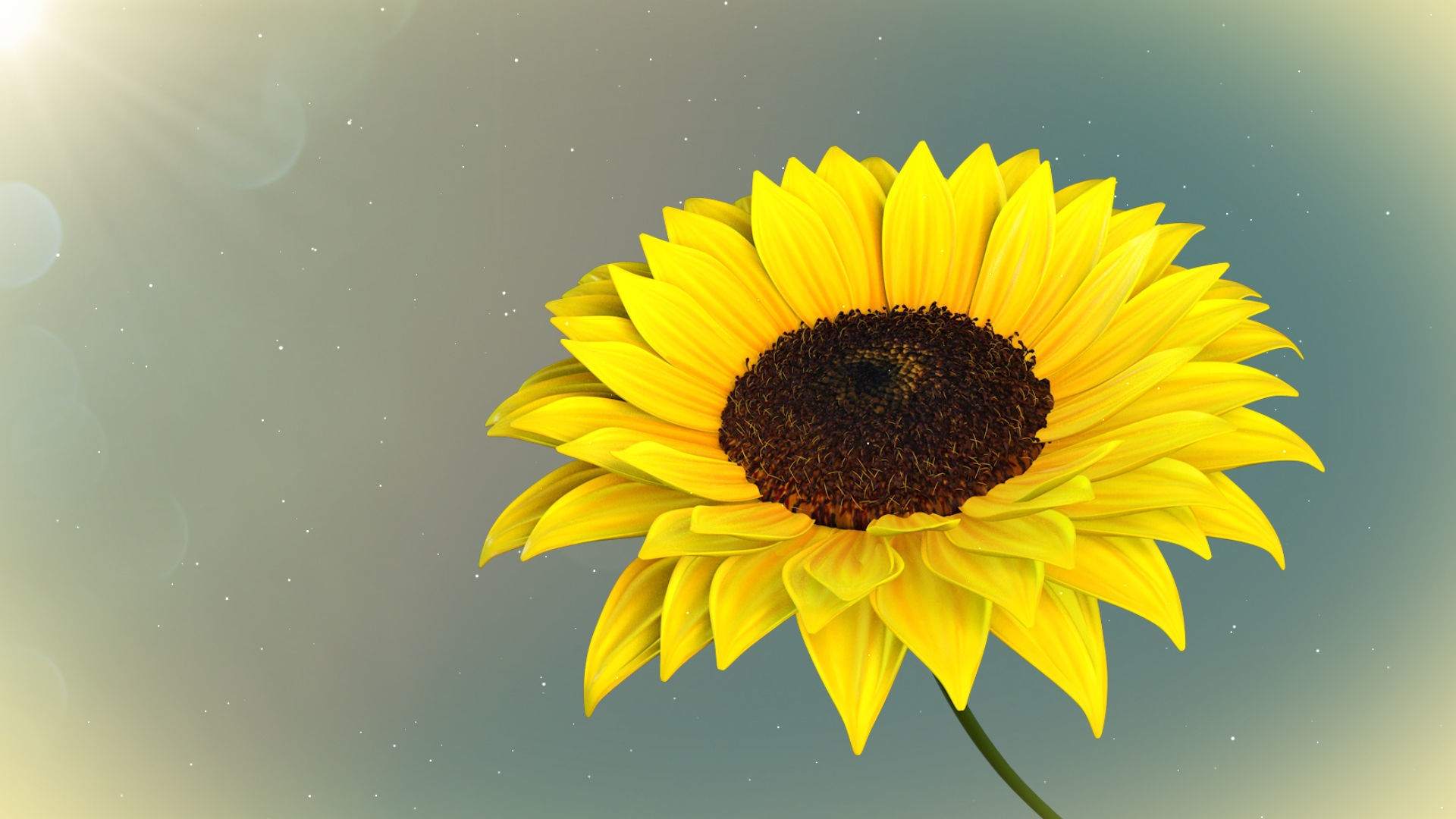 3d Sunflower Animated 3D model animated rigged | CGTrader