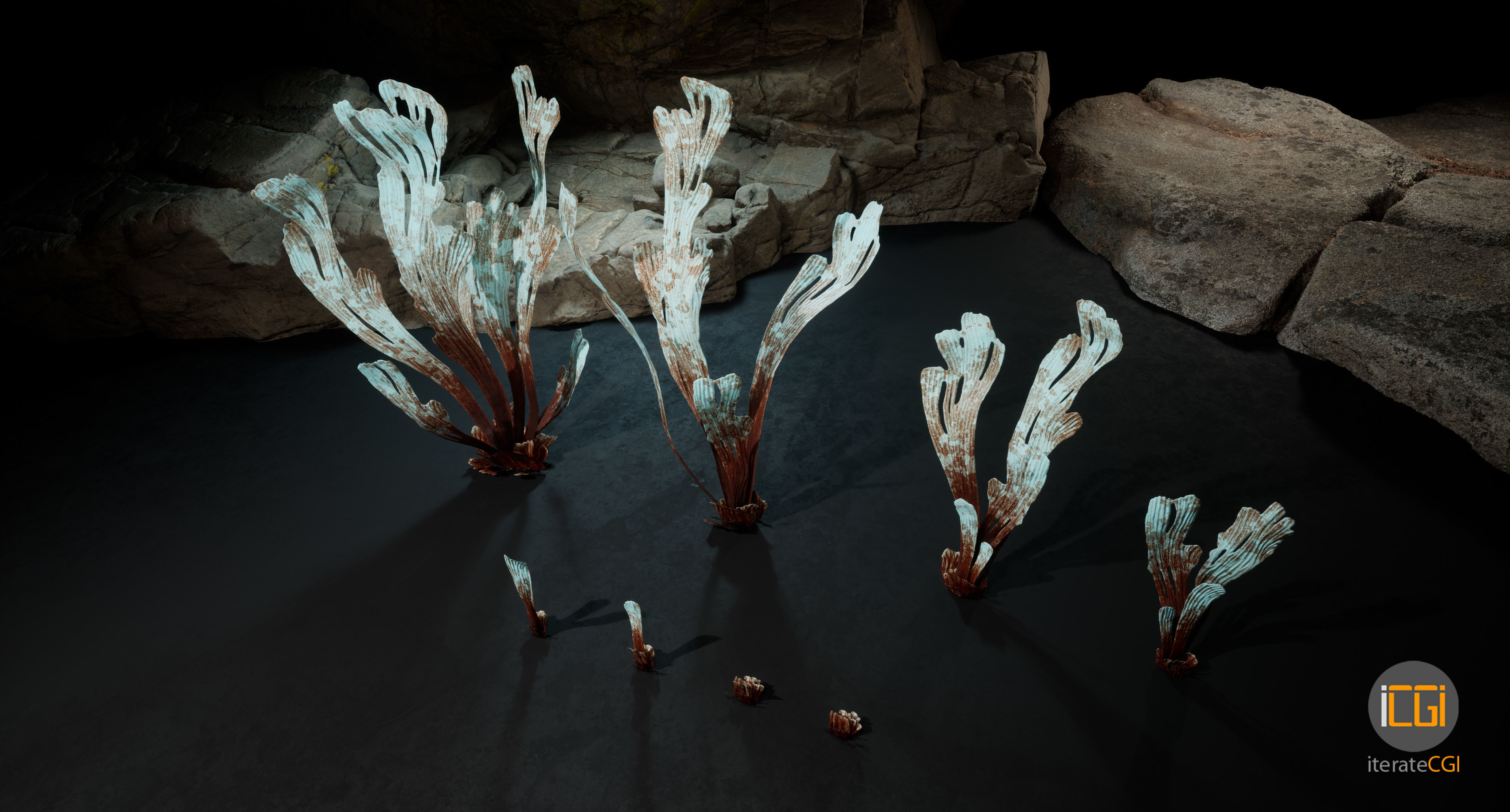 3D model Alien Fungus Type 4 VR / AR / low-poly | CGTrader