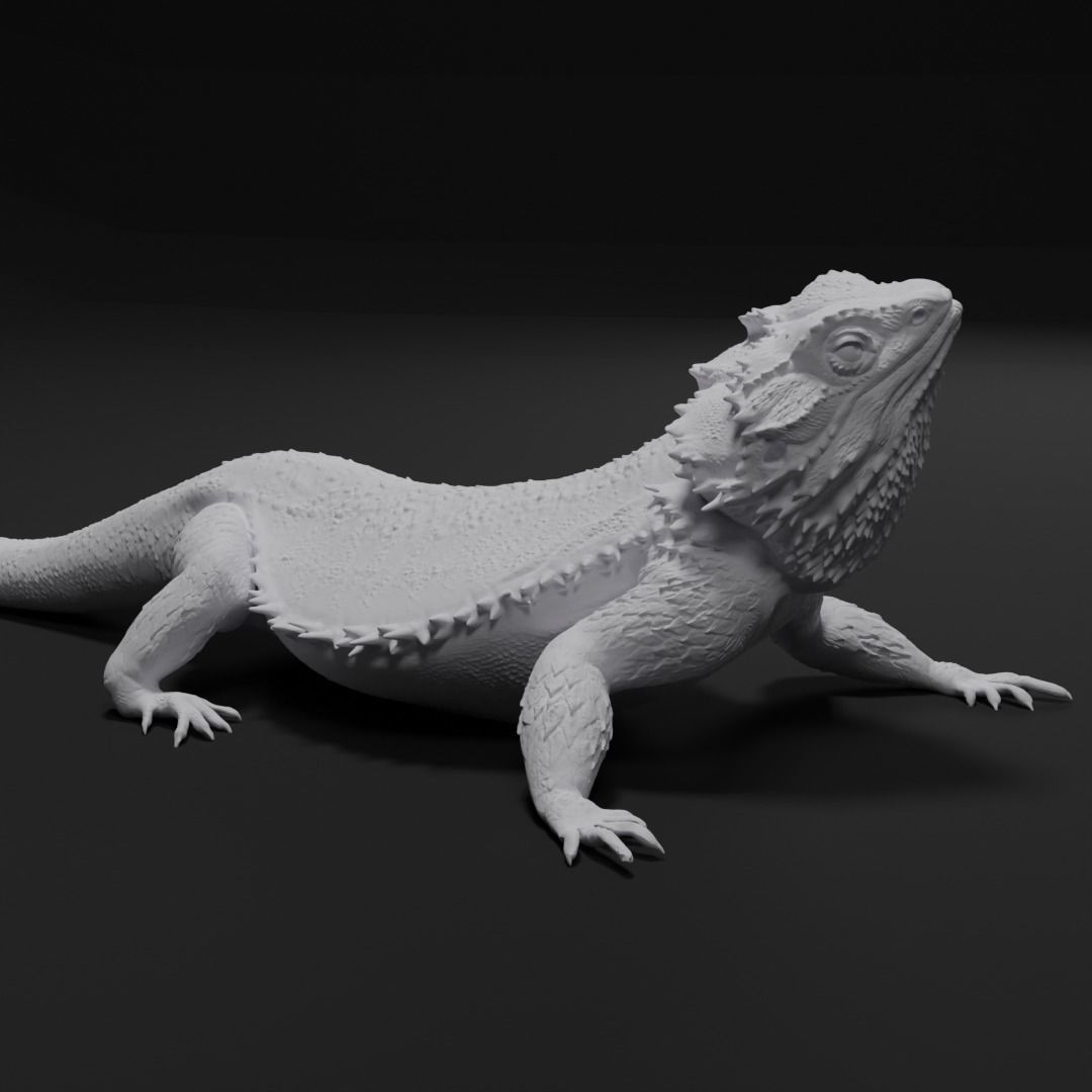Bearded Dragon Realistic Lizard 3d print model 3D model 3D printable ...