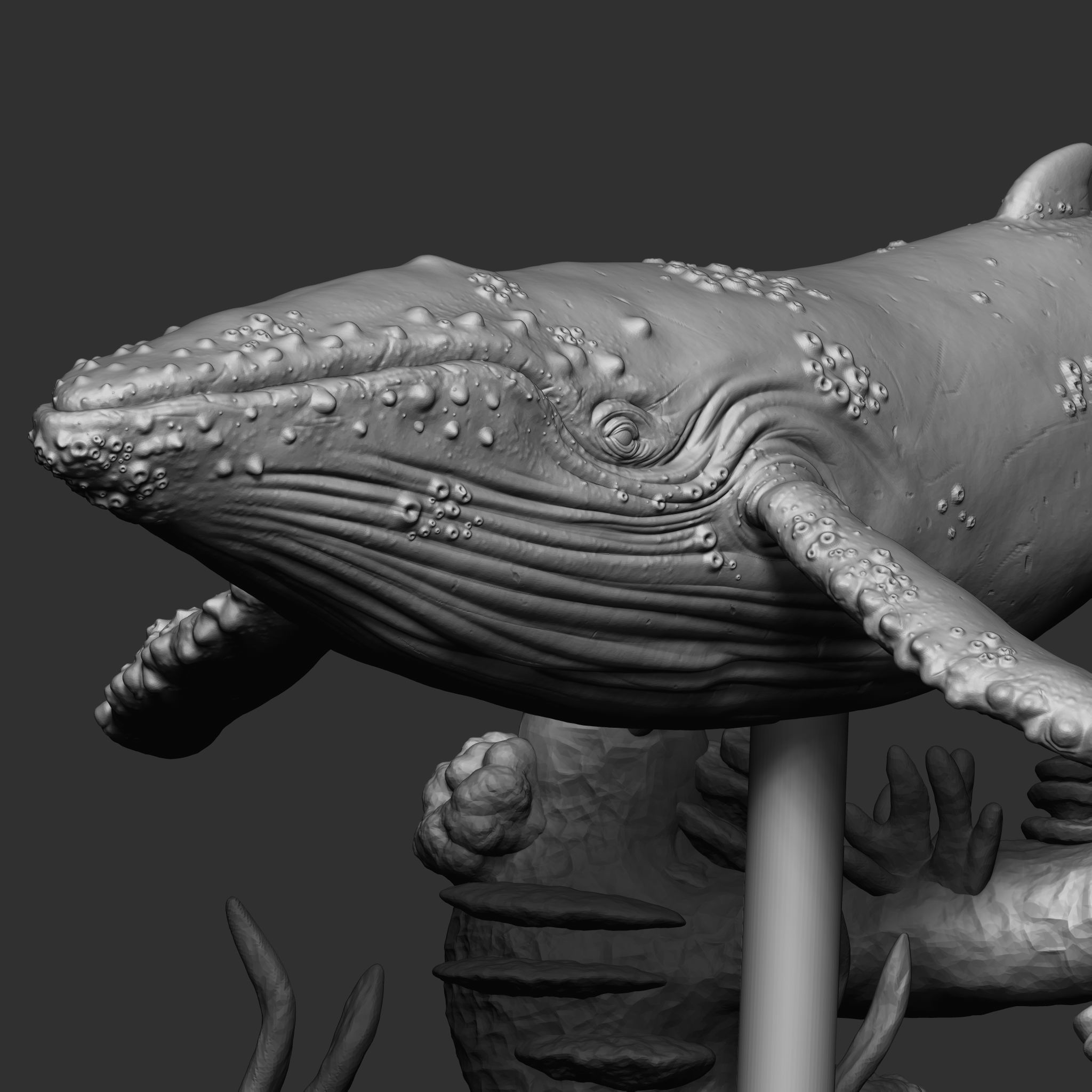WHALE 3D model 3D printable | CGTrader