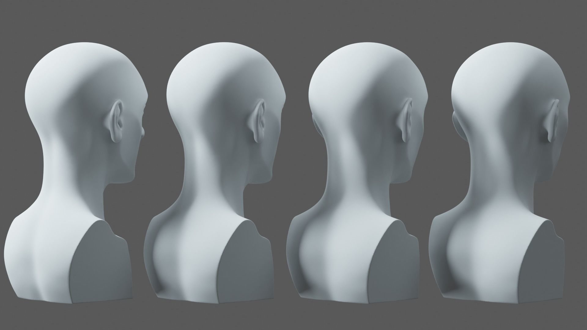 Head Ecorche 3D model | CGTrader