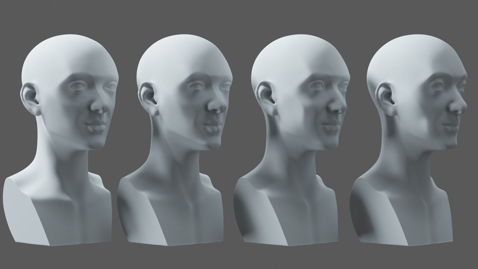 Head Ecorche 3D model | CGTrader