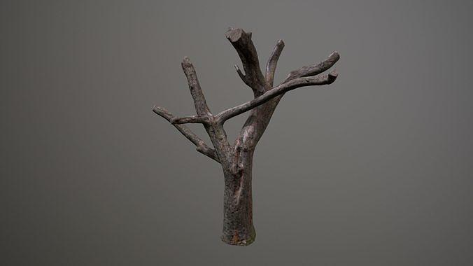 3D model Topped Tree VR / AR / low-poly | CGTrader