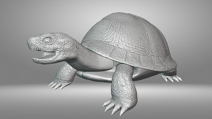 Turtle 3D model 3D printable | CGTrader