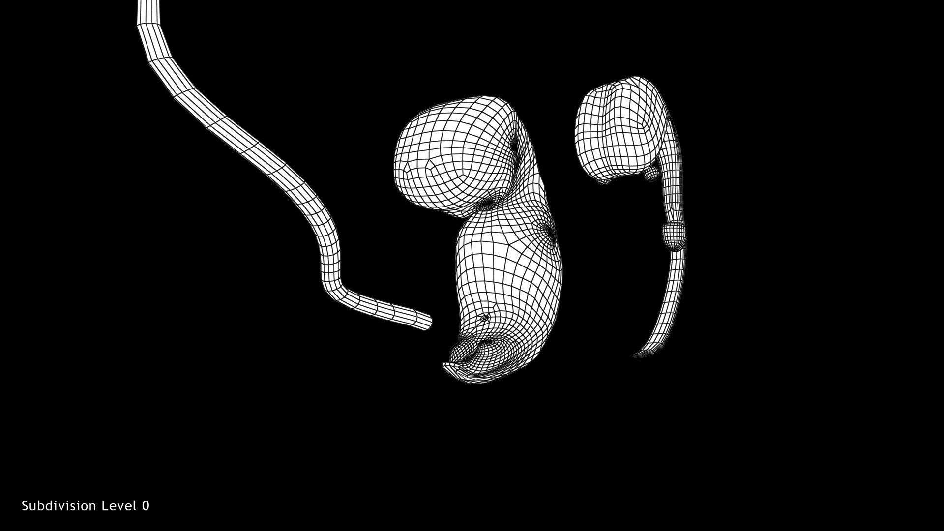 3D model Animated and Morphed Human Fetus VR / AR / low-poly | CGTrader