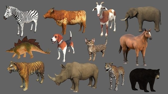 3D model Animal Collections VR / AR / low-poly | CGTrader