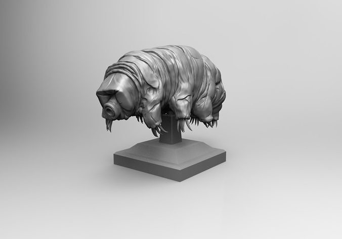 Tardigrade silver sculpture 3D model 3D printable | CGTrader