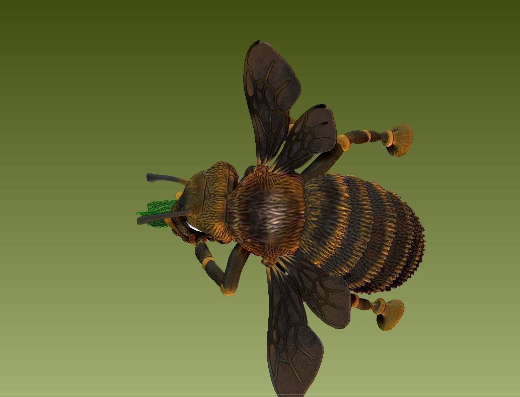 cartoon bee 3D model 3D printable | CGTrader