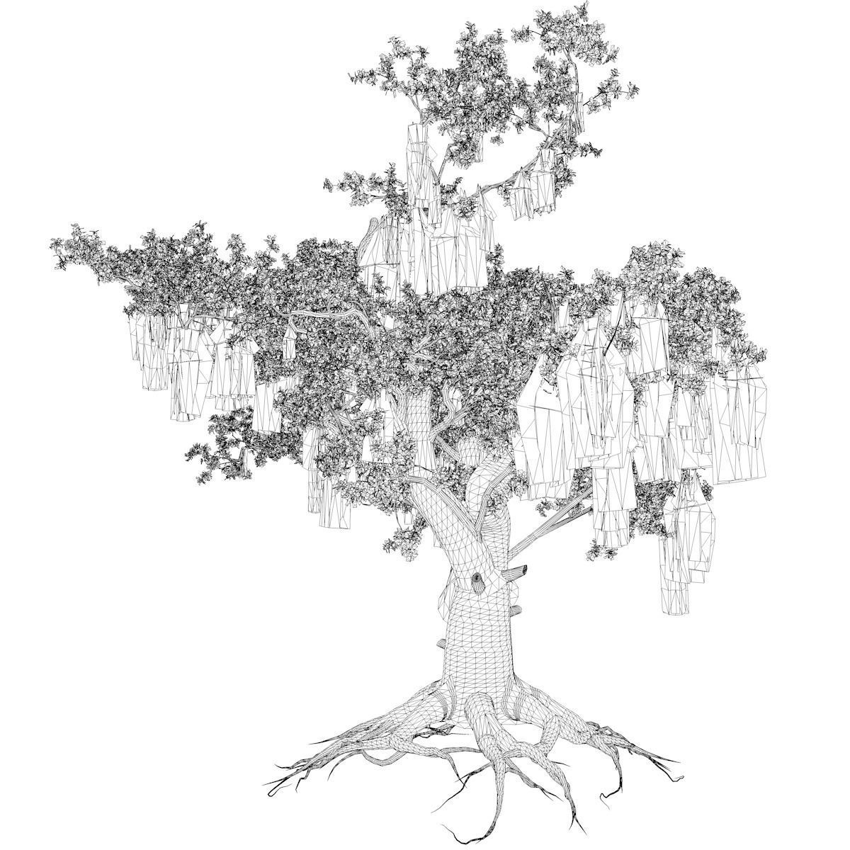 Live Oak Tree 09 3d Model Cgtrader