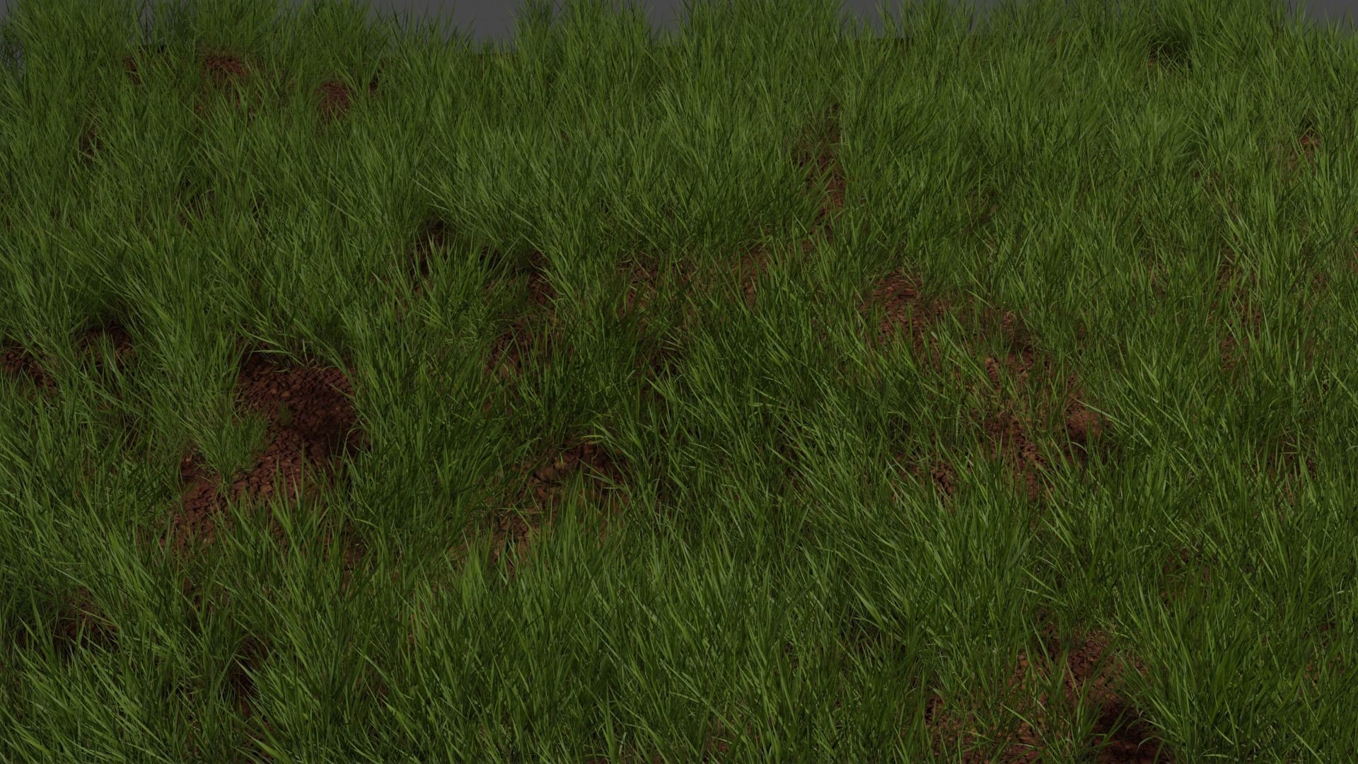 Realistic Grass 3D model | CGTrader