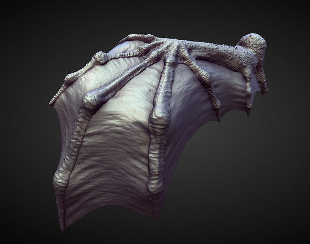 WING2 high poly sculpt 3D model | CGTrader