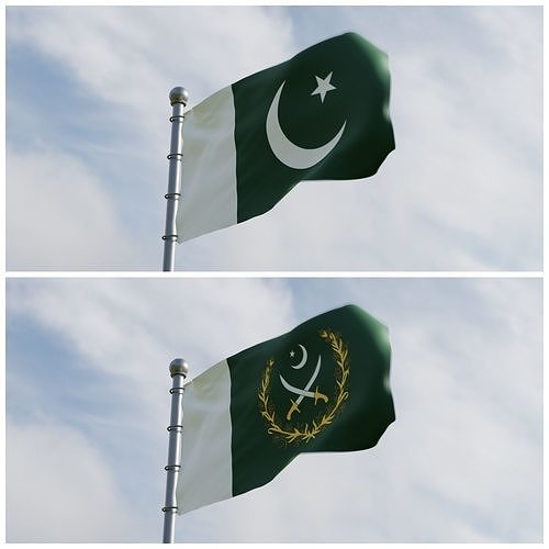 Animated Pakistan Flags 3D model animated | CGTrader