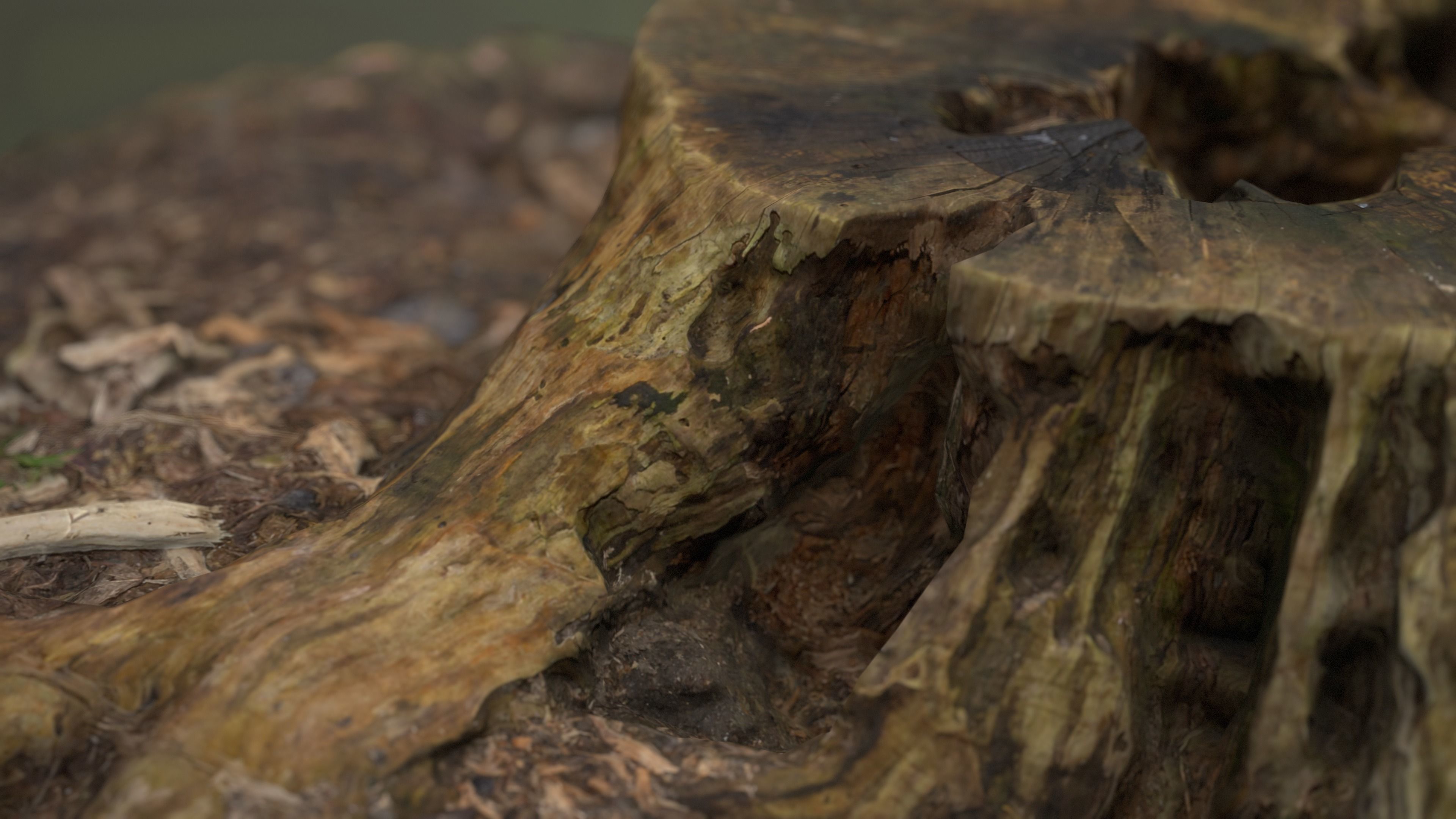3D model Small Tree Trunk VR / AR / low-poly | CGTrader