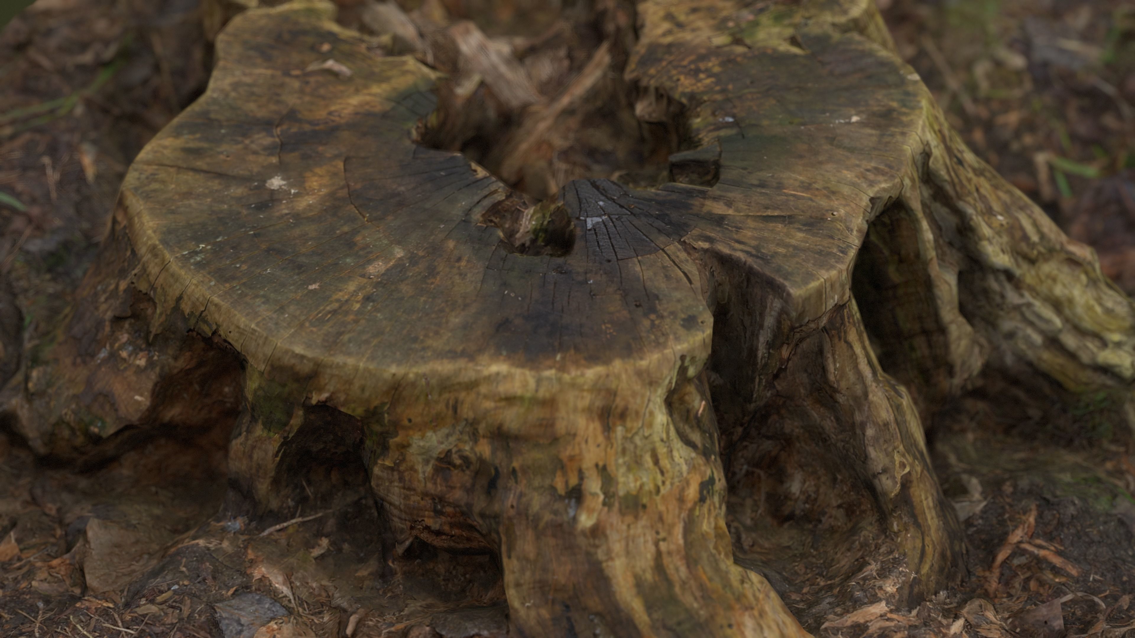 3D model Small Tree Trunk VR / AR / low-poly | CGTrader