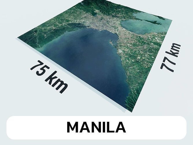 Manila Philippines City Landscape 3D Model 3D model | CGTrader