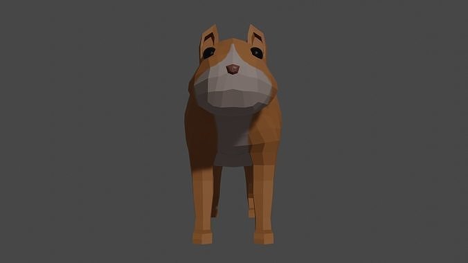 3D model LowPoly Squirrel VR / AR / low-poly | CGTrader