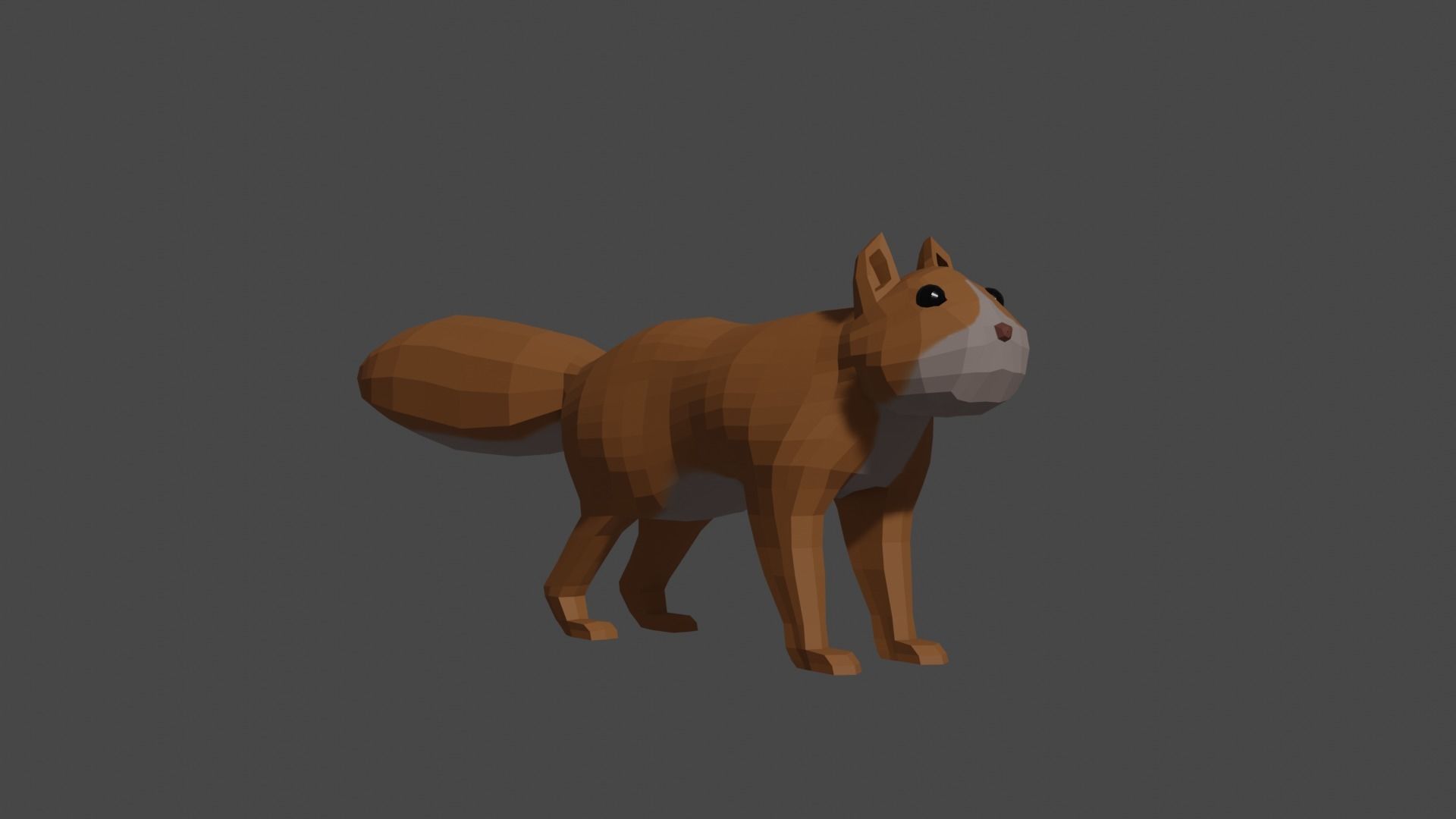 3D model LowPoly Squirrel VR / AR / low-poly | CGTrader