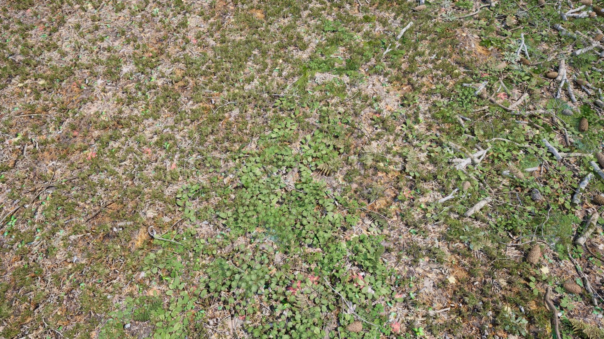 3D model Ground Cover Foliage VR / AR / low-poly | CGTrader