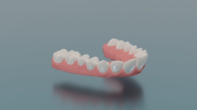 Dental upper jaw 3D scanned mouth with separated teeth 3D model 3D ...