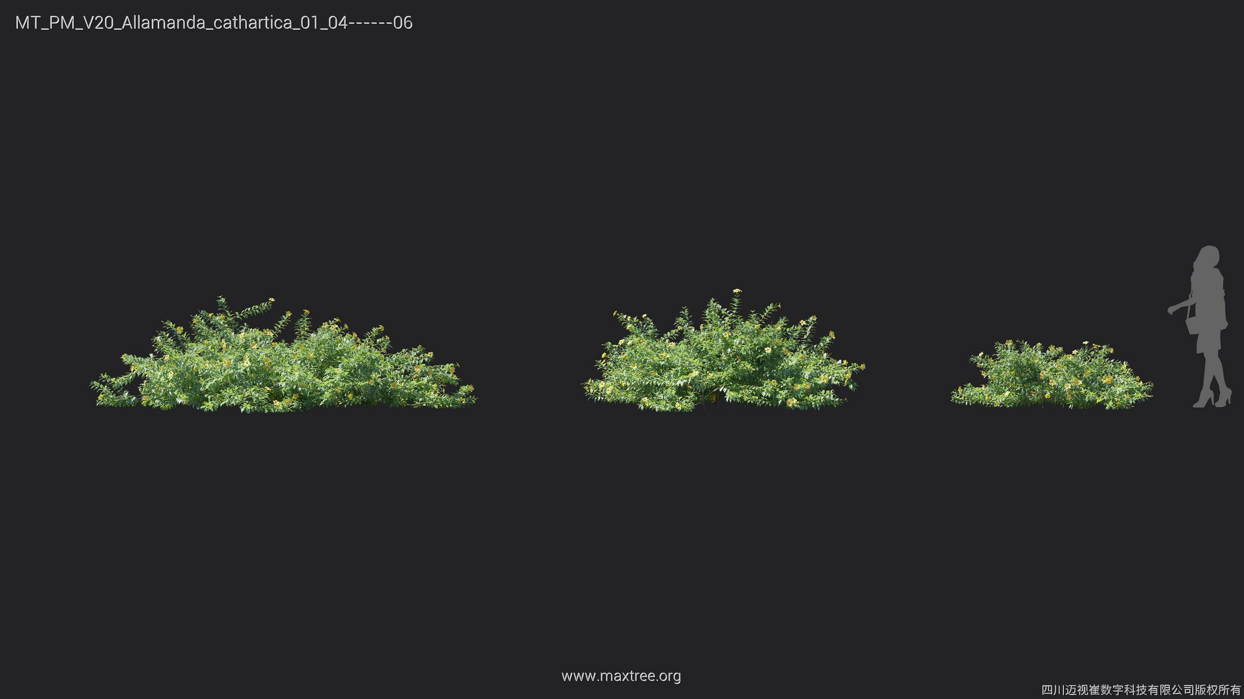 Maxtree Plant Models Vol 20 - Mesh 3D model | CGTrader