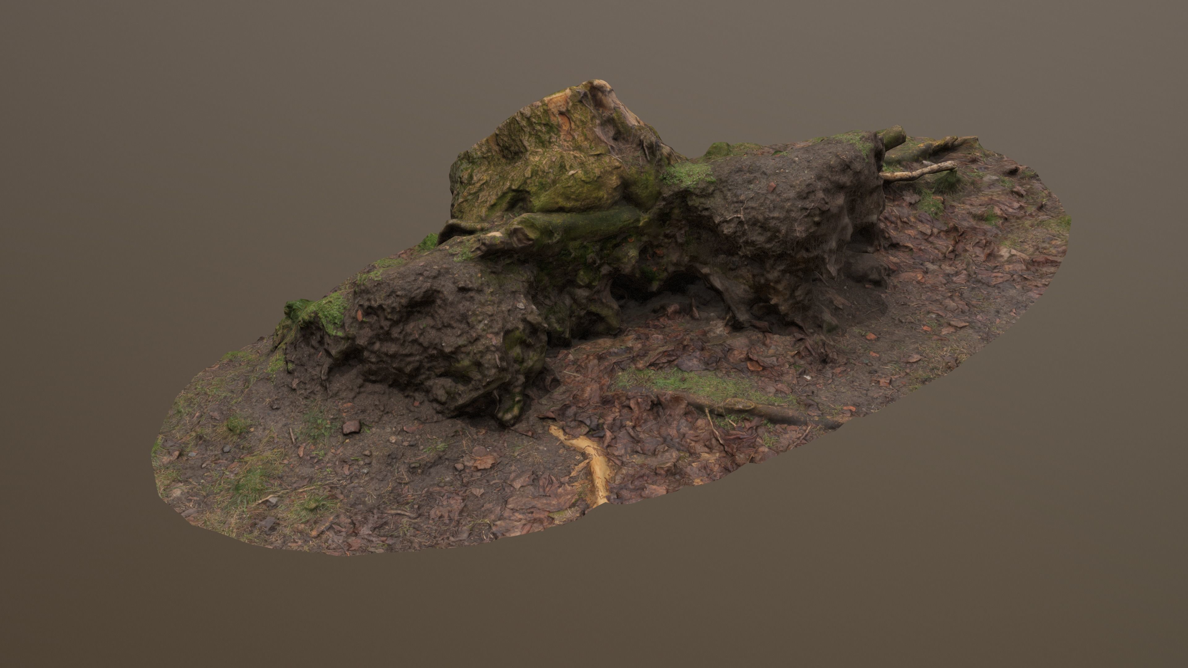 3D model Fallen Tree Trunk VR / AR / low-poly | CGTrader