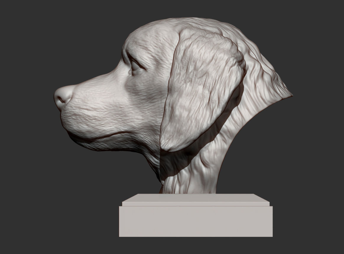 Golden retriever 3D print model 3D model 3D printable | CGTrader