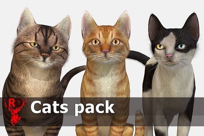 3D Model Collection Cats pack 3 VR / AR / low-poly | CGTrader