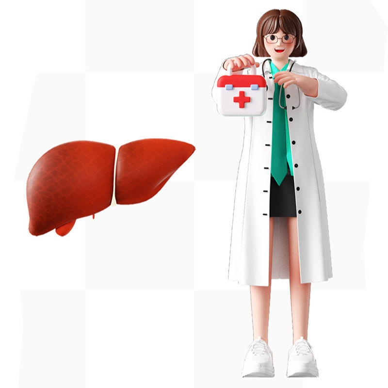 C4D model - organ doctor element 3D model | CGTrader