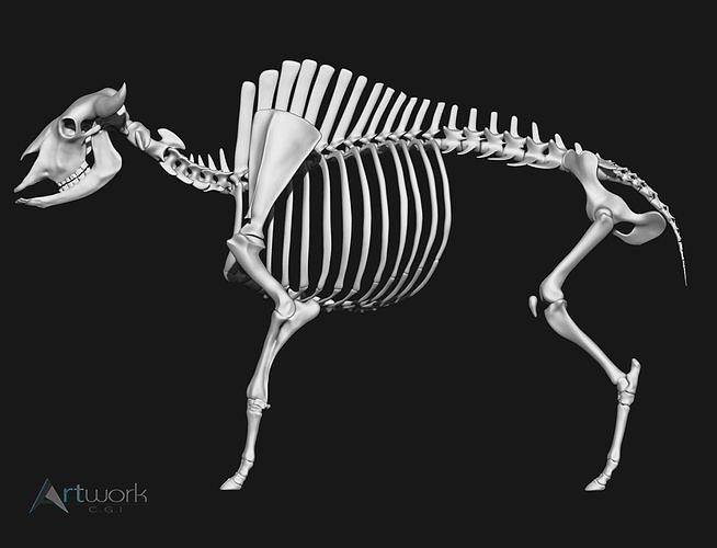 Bison skeleton 3D model | CGTrader