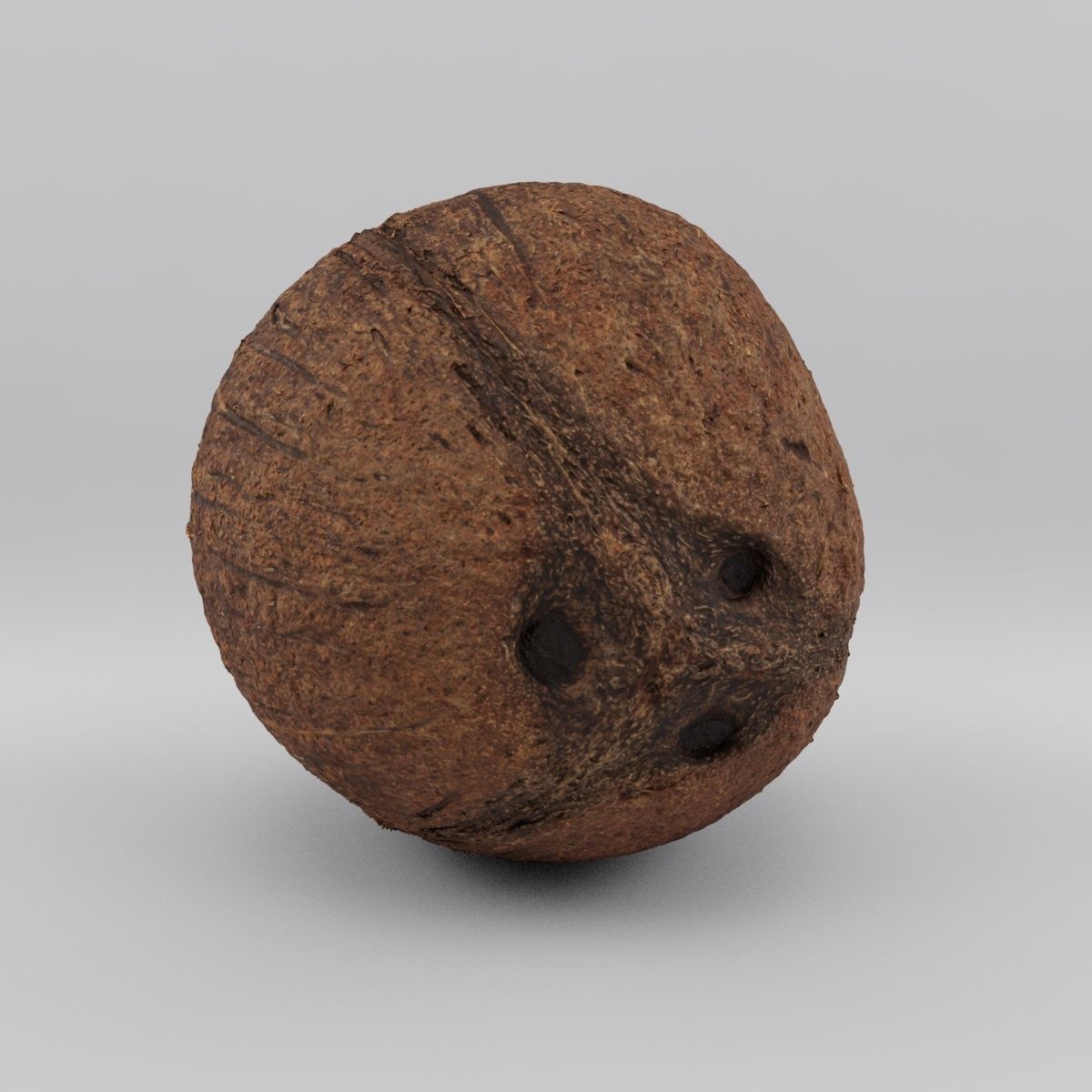 3D model coconut - photoscan VR / AR / low-poly | CGTrader