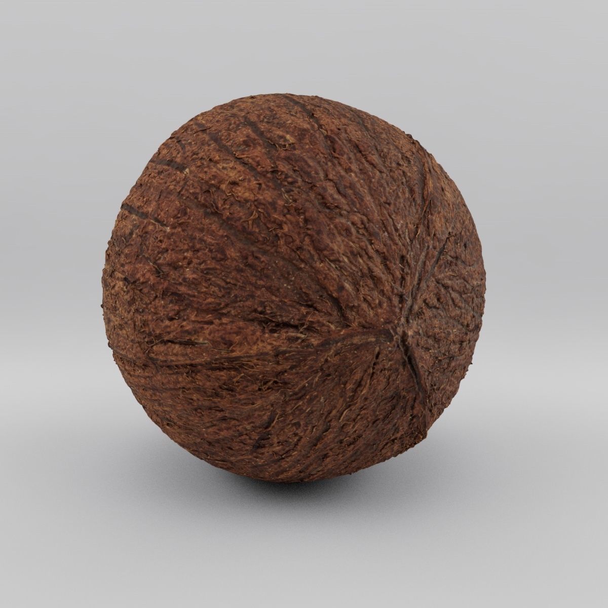 3D model coconut - photoscan VR / AR / low-poly | CGTrader