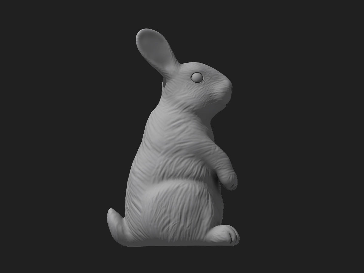 Standing Rabbit 3D model 3D printable | CGTrader