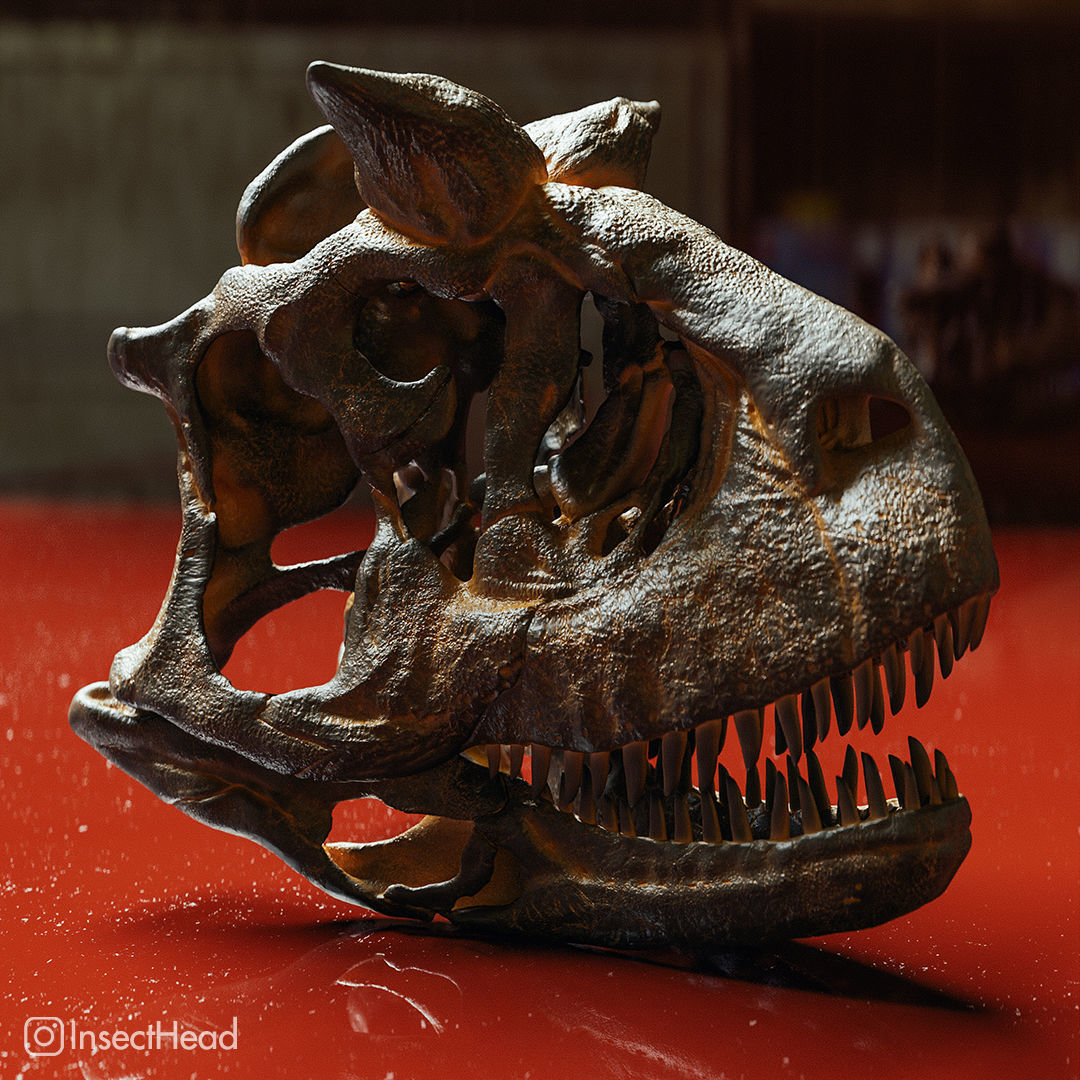 Carnotaurus sastrei skull fossil 3D model 3D printable | CGTrader