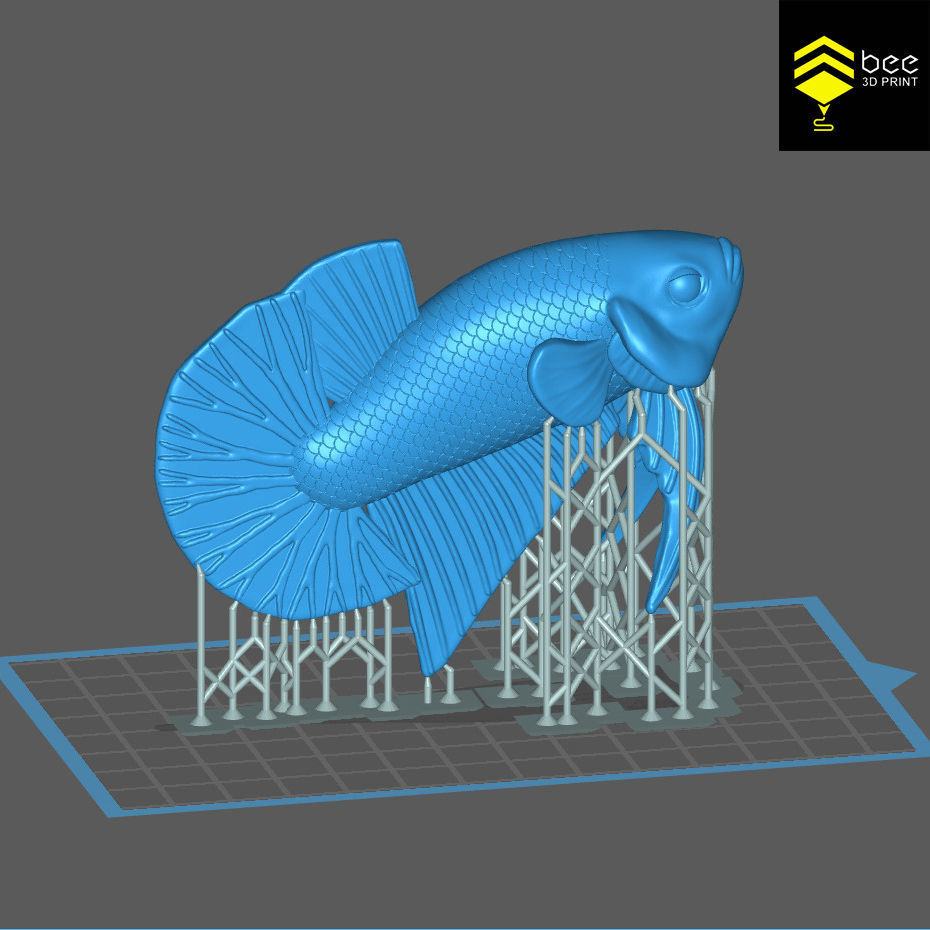 Betta Fish 2 - Ready for 3D print 3D model 3D printable | CGTrader