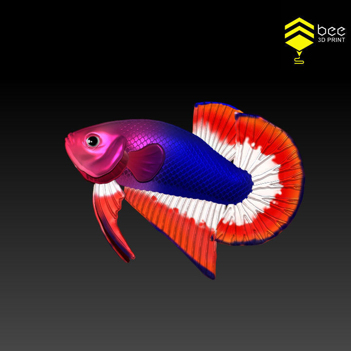 Betta Fish 2 - Ready for 3D print 3D model 3D printable | CGTrader