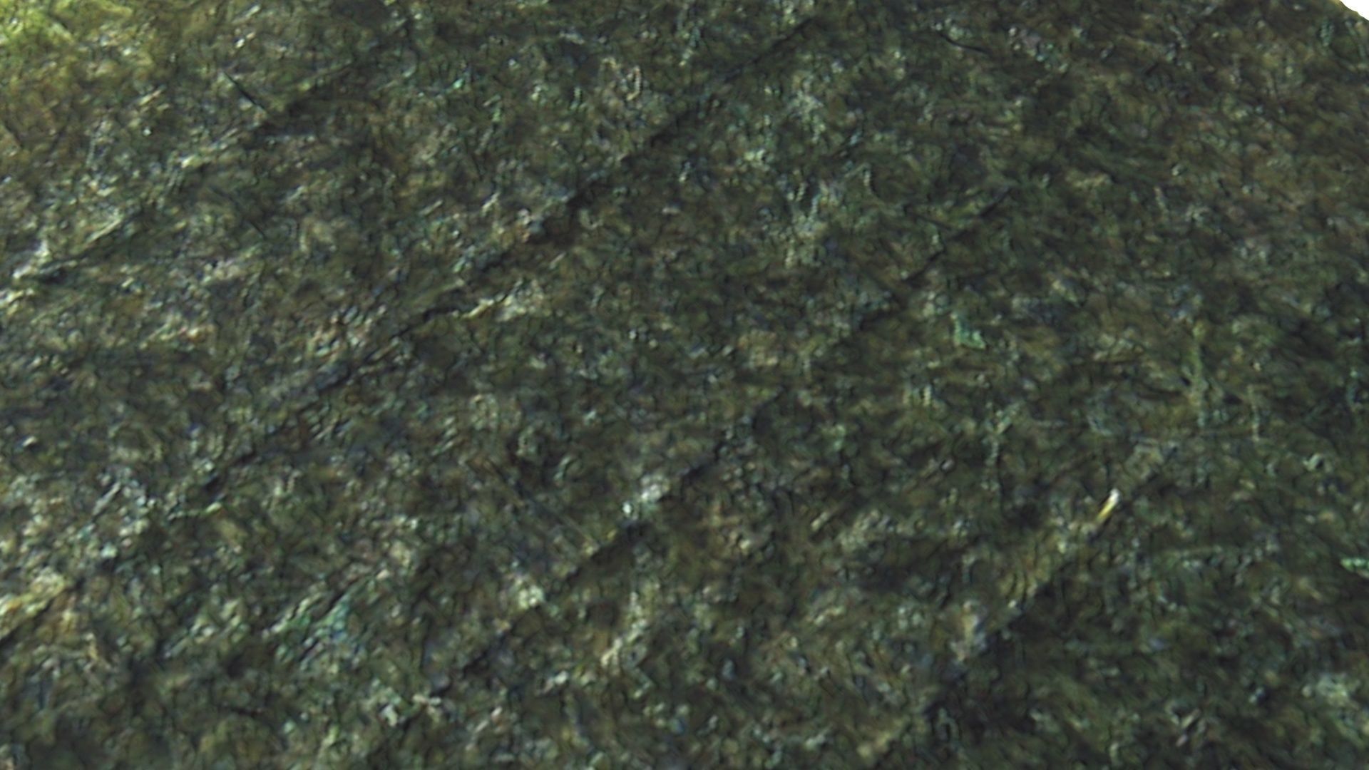 Sushi Nori 3D model | CGTrader