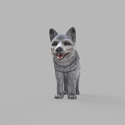3D model Wolf Puppy Low Poly VR / AR / low-poly | CGTrader