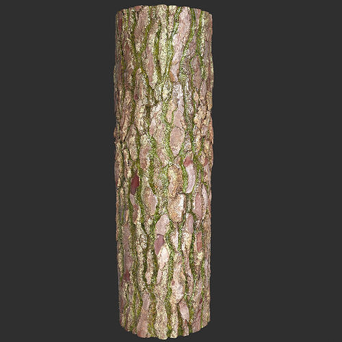 Wet Mossy Tree Bark 4K PBR Textures Texture | CGTrader