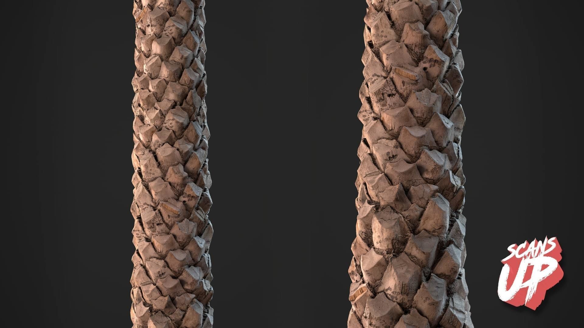 Texture Palm Bark Pack 01 - Stonelake3D VR / AR / low-poly | CGTrader