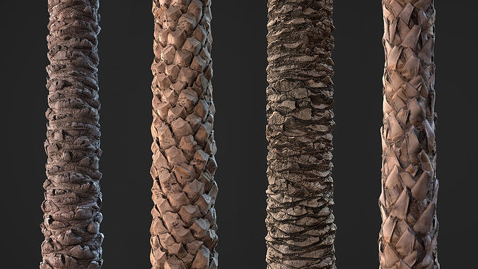 Texture Palm Bark Pack 01 - Stonelake3D VR / AR / low-poly | CGTrader
