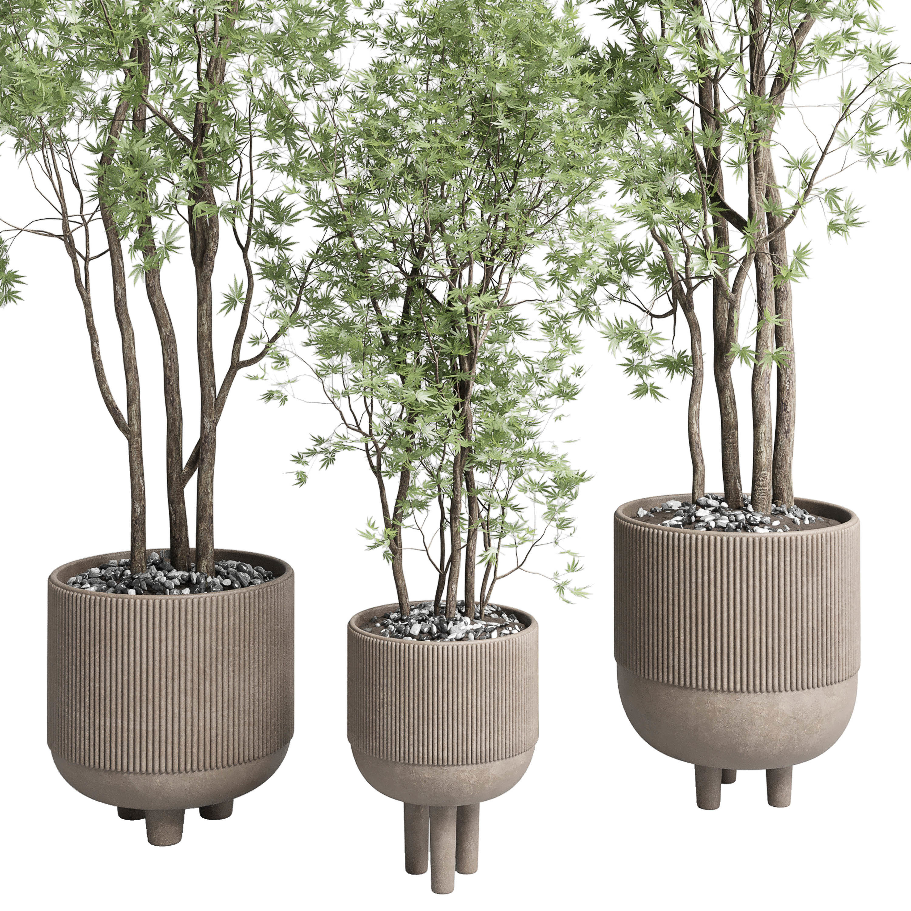 3D model Indoor plant set 360 concrete vase plant tree shrub VR / AR ...